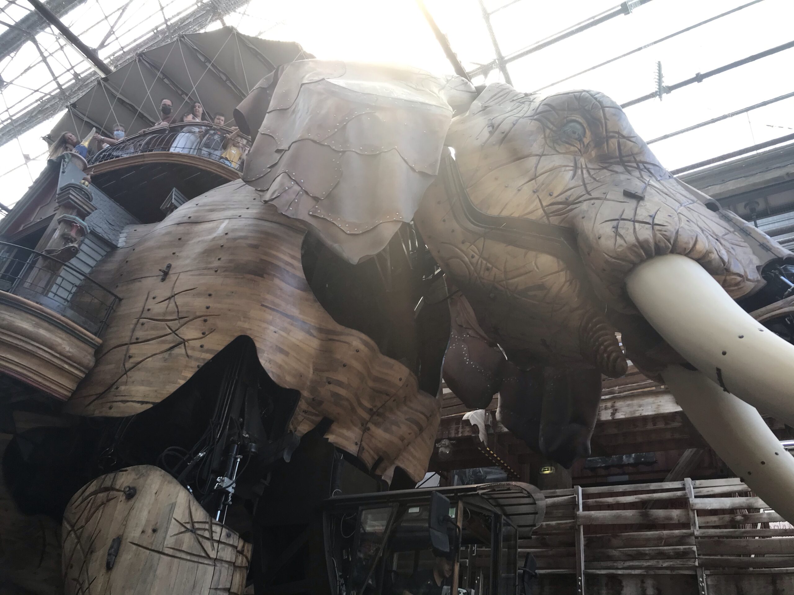 The Great Elephant - Les Machines de L’Île - Oliver Broadbent